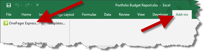 Portfolio Budget Report | OnePager Express